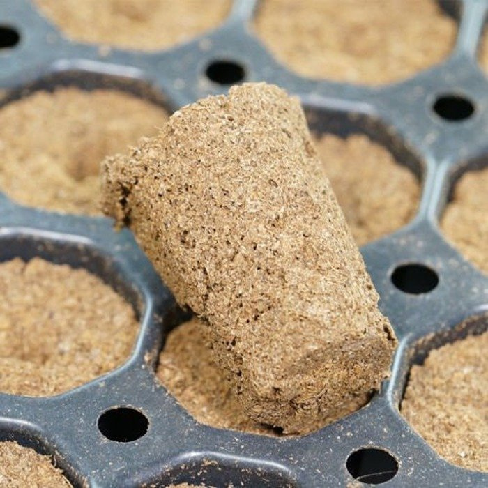 Eazy Plug 104C szt. Taca do klonów,sadzonek,wysiewu nasion